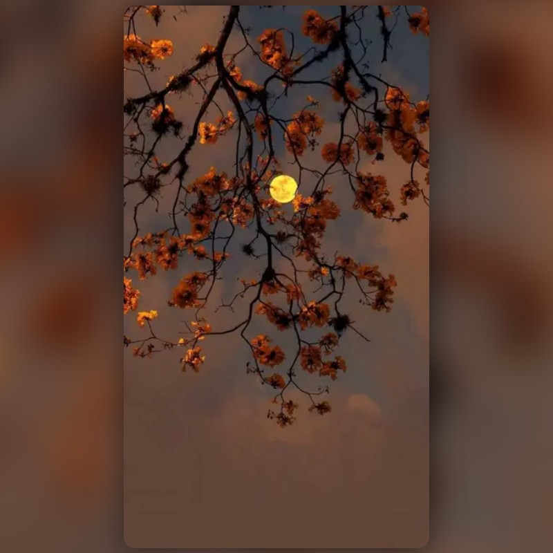 Dark Moon Lens by 🅚🅐🅡🅦🅐🅝 🅟🅗🅨🅢🅘🅞 - Snapchat Lenses and Filters