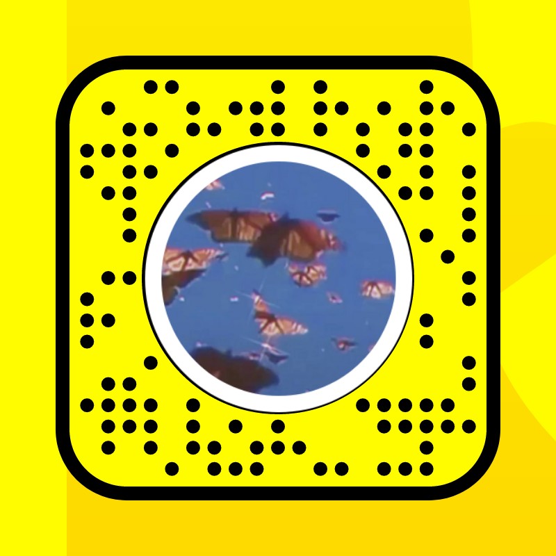 butterfly face Filter by kira 💤 | Snapchat Lenses