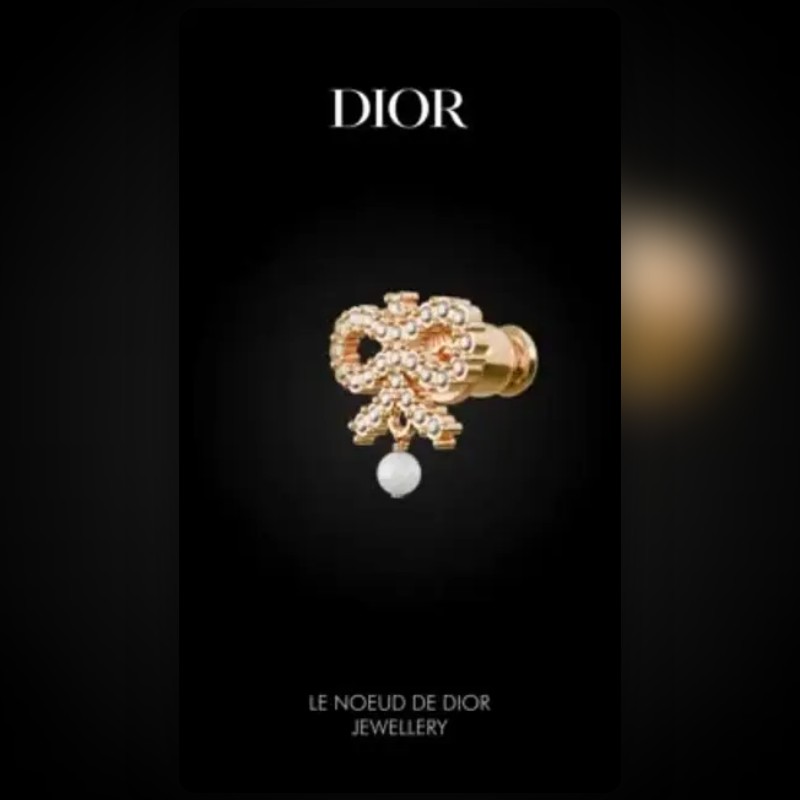Le Noeud de Dior Filter by Dior | Snapchat Lenses