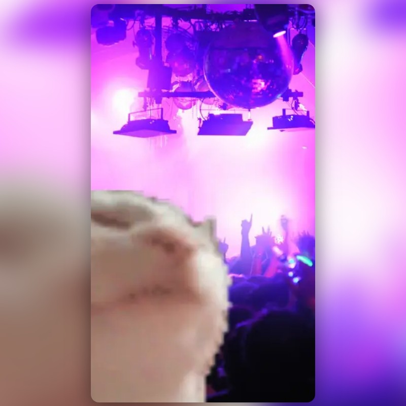 Cat Vibing Lens by Koughen - Snapchat Lenses and Filters