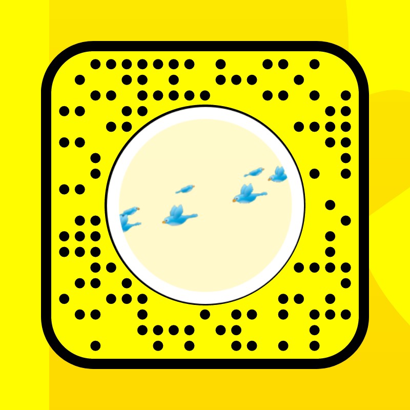 Dizzy Birds Filter by amy | Snapchat Lenses