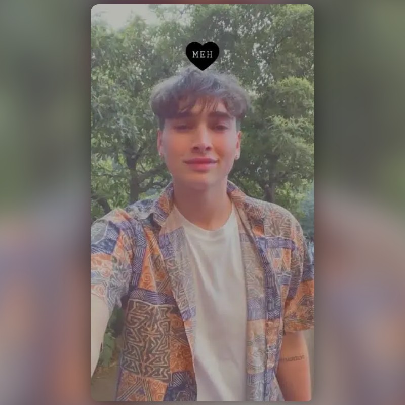 Meh Valentine Mood Lens by Snapchat - Snapchat Lenses and Filters