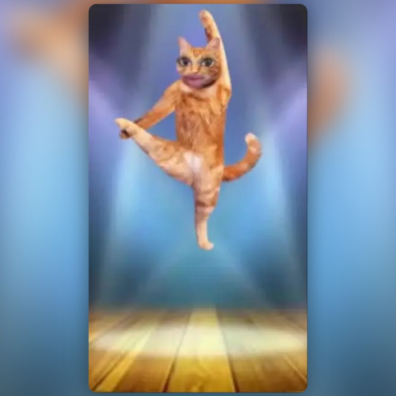 Ballerina Cat Filter by Insyira | Snapchat Lenses