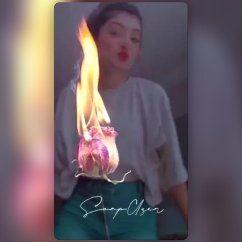 Rose Streak Lens by Sunny Bahadurpuria🎥 - Snapchat Lenses and Filters