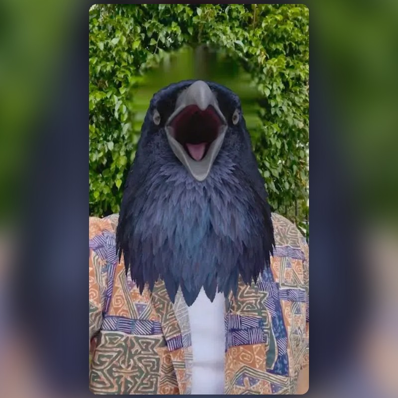 Crow Head Lens by Snapchat - Snapchat Lenses and Filters