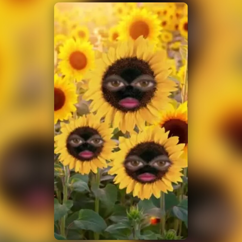 Sunflower Face Lens by Rachel - Snapchat Lenses and Filters