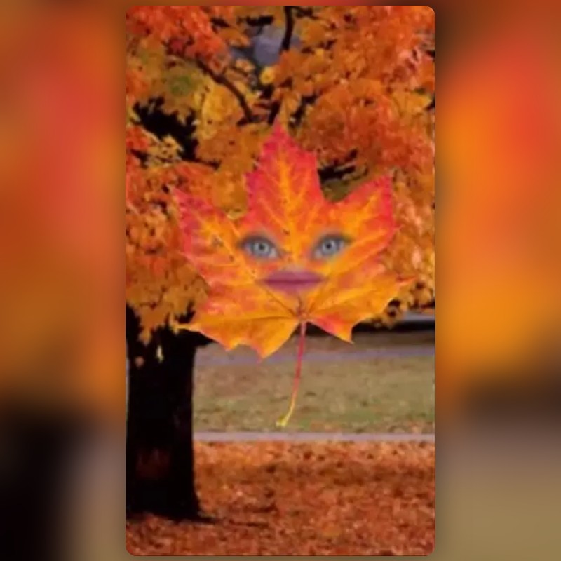 Maple Leaf Face Lens by Anastasia Berliana - Snapchat Lenses and Filters