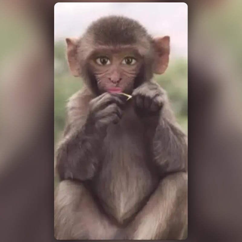 baby monkey Lens by Queeny - Snapchat Lenses and Filters