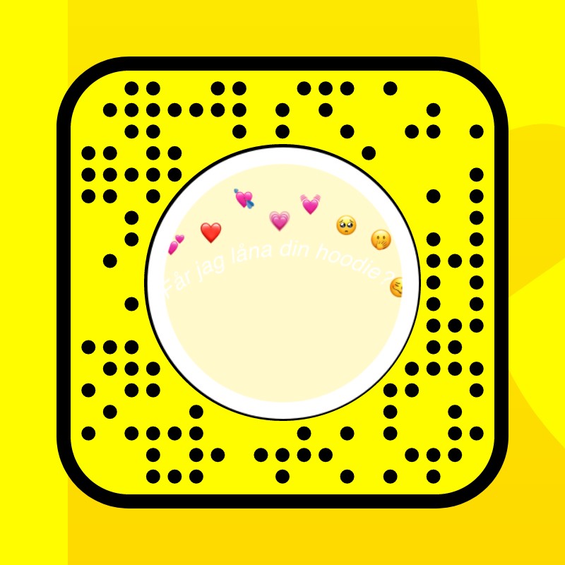 hoodie please Filter by Melissa Berglund | Snapchat Lenses