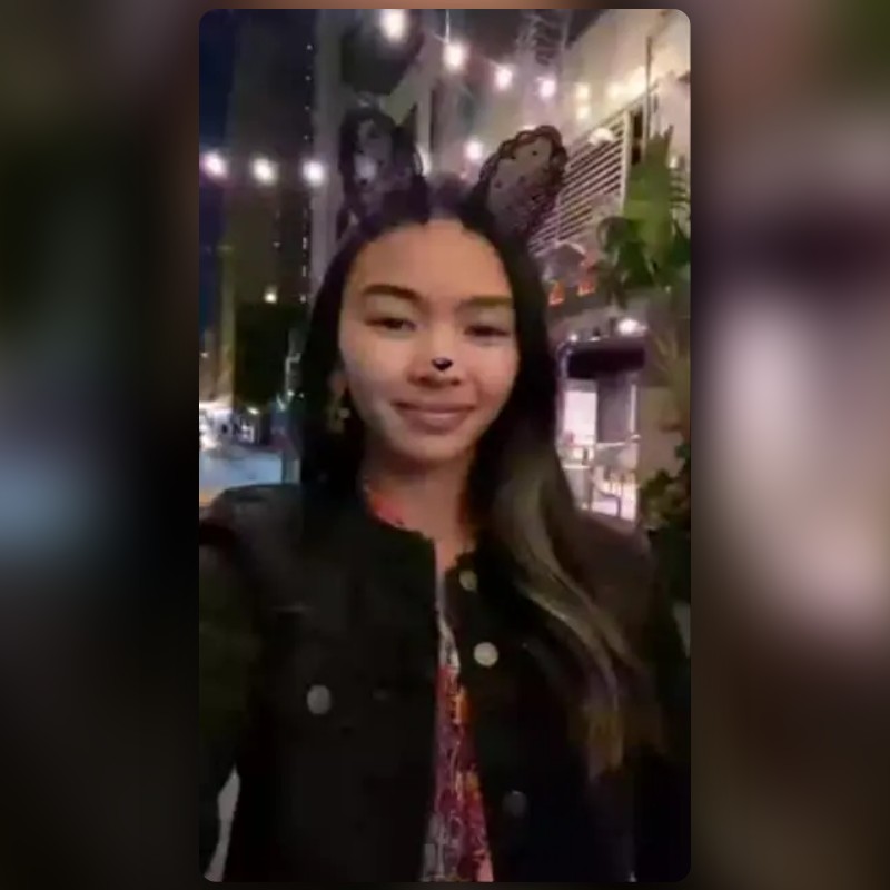 Cat Filter by Ⓡⓞⓜⓔⓞ | Snapchat Lenses