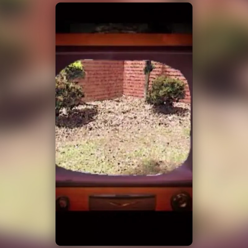 Vintage TV Filter by 🍍 Pineapples 🍍 | Snapchat Lenses