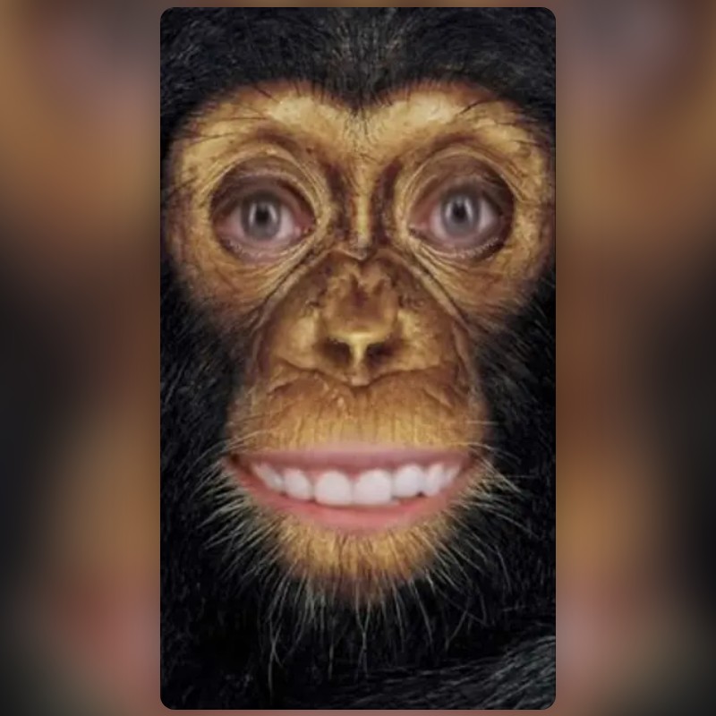 Cheeky Monkey Filter by M | Snapchat Lenses