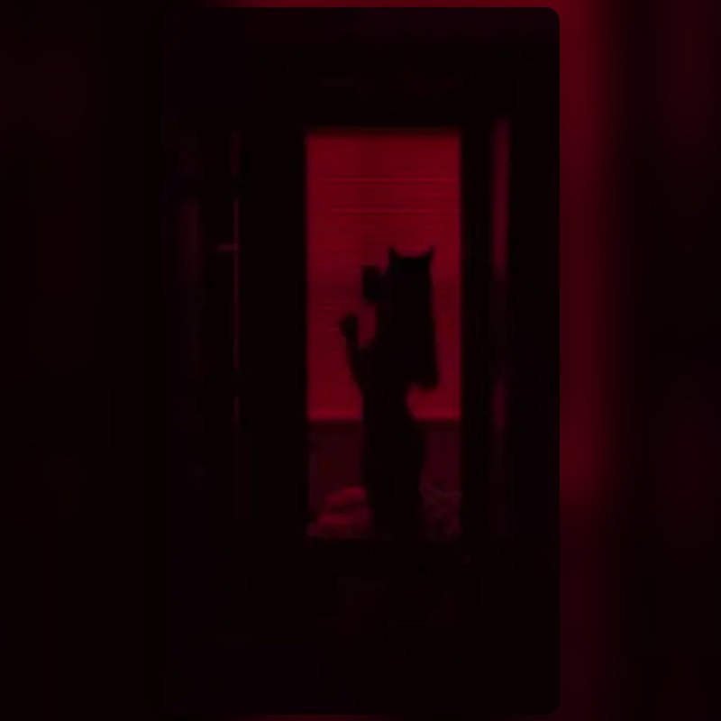 Dark Red Vibes Lens by imyourahsoo - Snapchat Lenses and Filters
