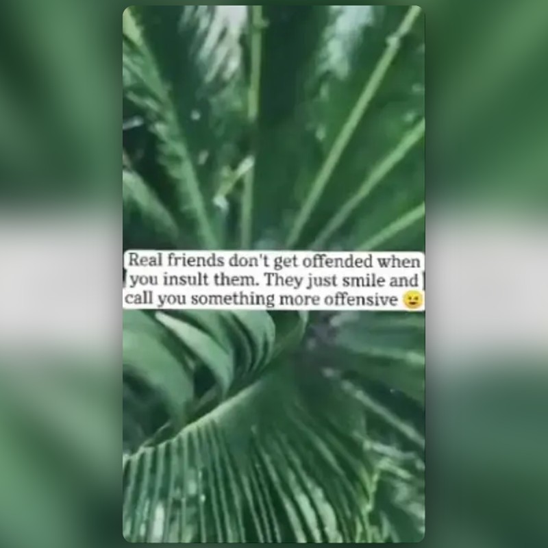 Friendship Quotes1 Filter by Tanay | Snapchat Lenses