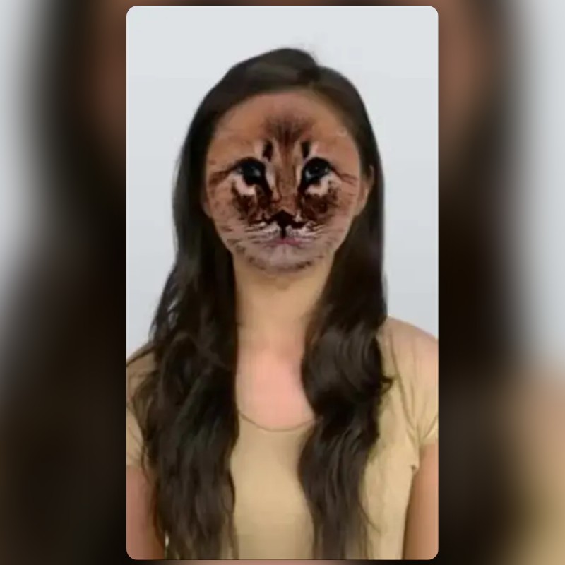 Cute Cat Lens by Odd Nova - Snapchat Lenses and Filters