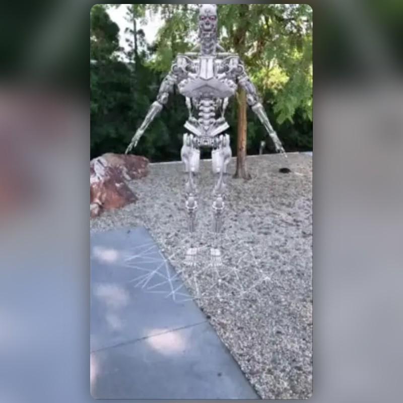 MK11 Terminator Filter by Gina Saluccio | Snapchat Lenses