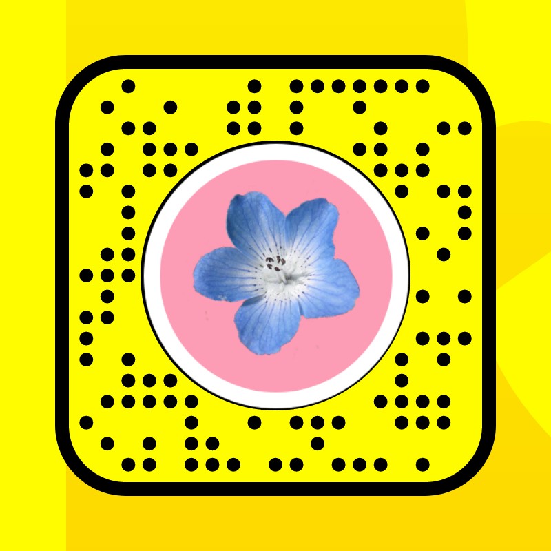 Blue and Pink Filter by Rihanna ♡ | Snapchat Lenses
