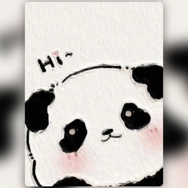 hiii panda Filter by Sohail Edits | Snapchat Lenses
