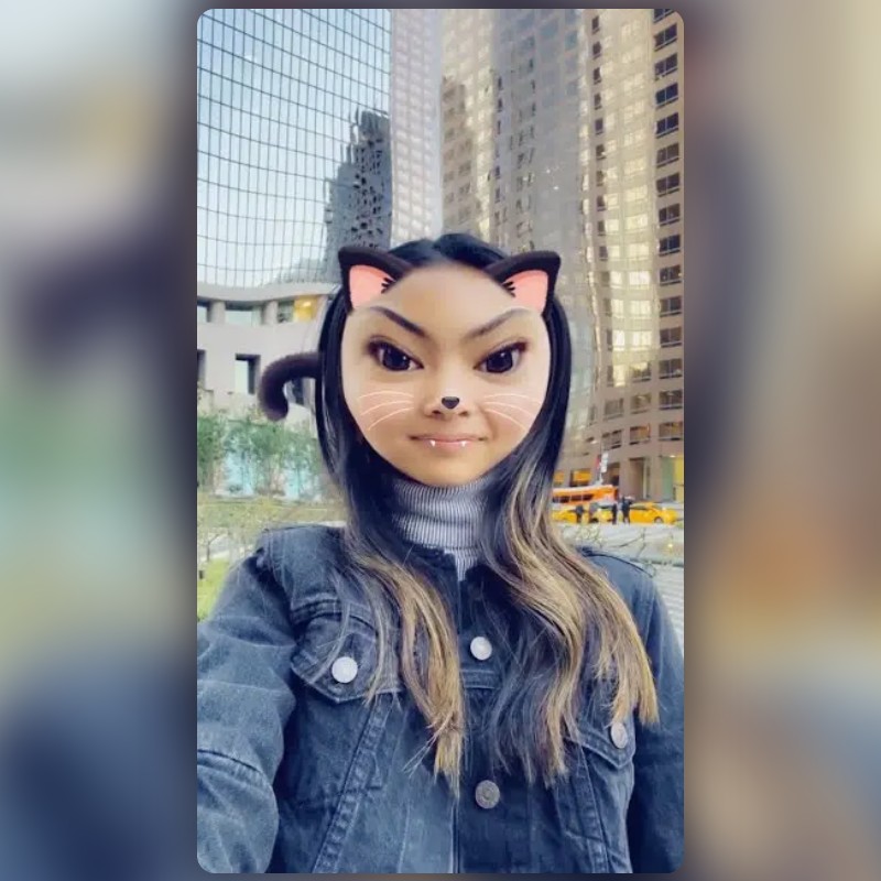 Angry Cat Filter by Snapchat | Snapchat Lenses