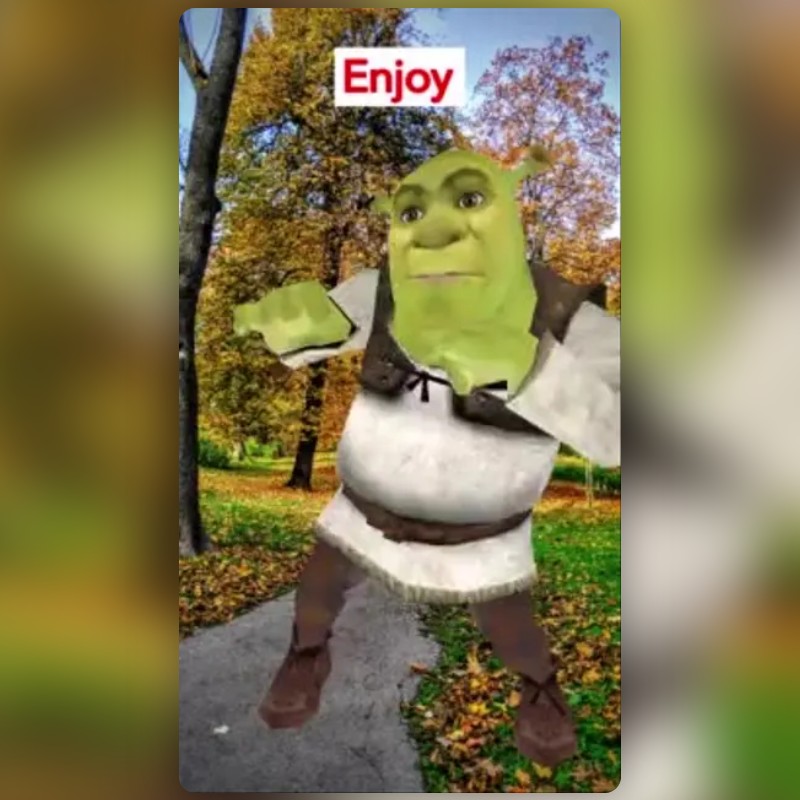 Shrek SillyDance18 Filter by Ayush Aggarwal | Snapchat Lenses