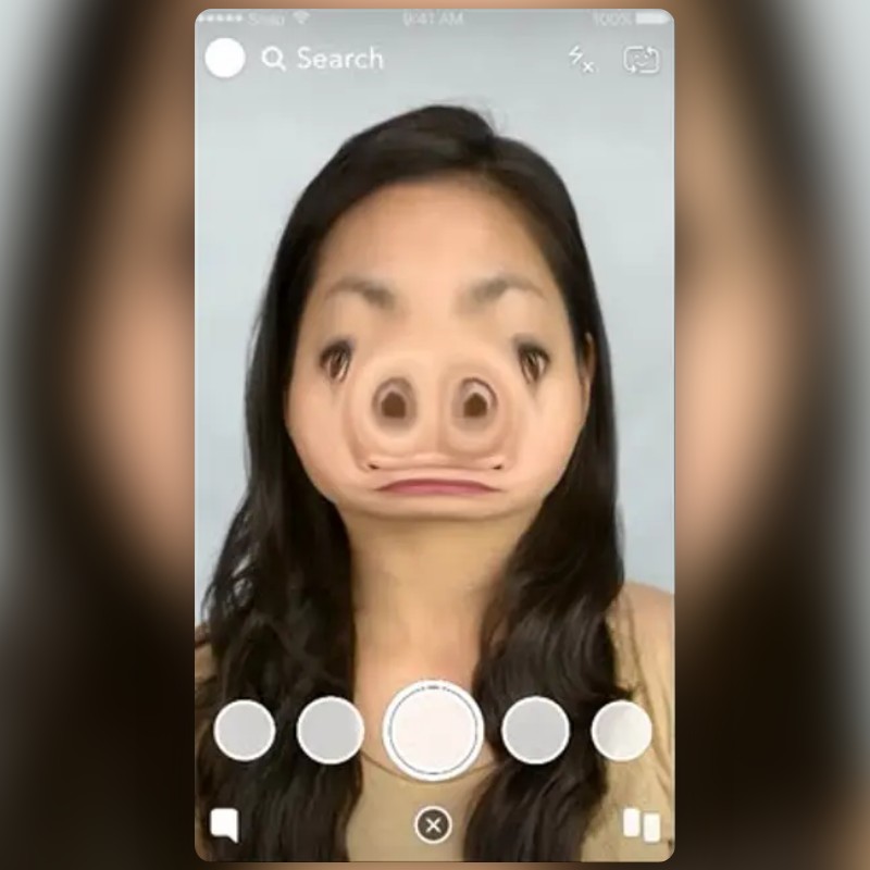 The Pig Lens by Christian - Snapchat Lenses and Filters