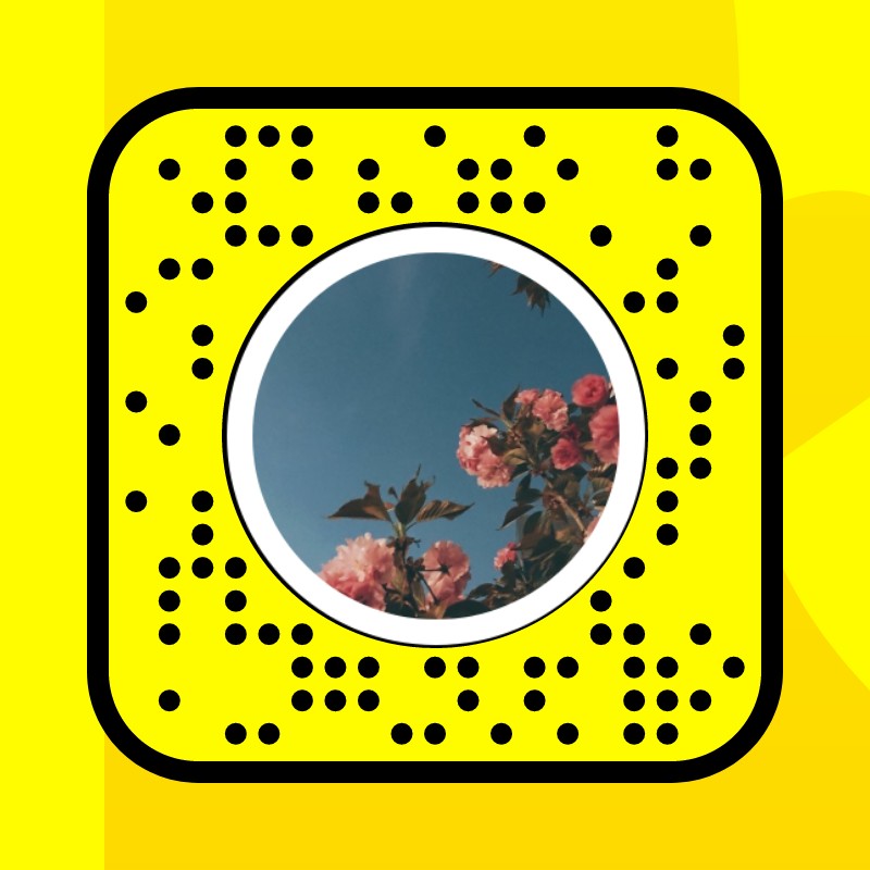 vintage VHS Lens by yeslinn:) - Snapchat Lenses and Filters