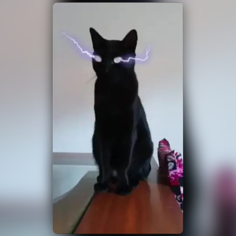 Lightning cats Lens by Azukitties - Snapchat Lenses and Filters