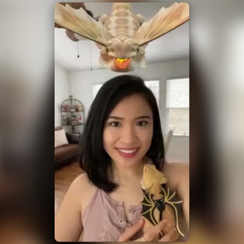 Fire Dragon Filter by CyreneQ | Snapchat Lenses