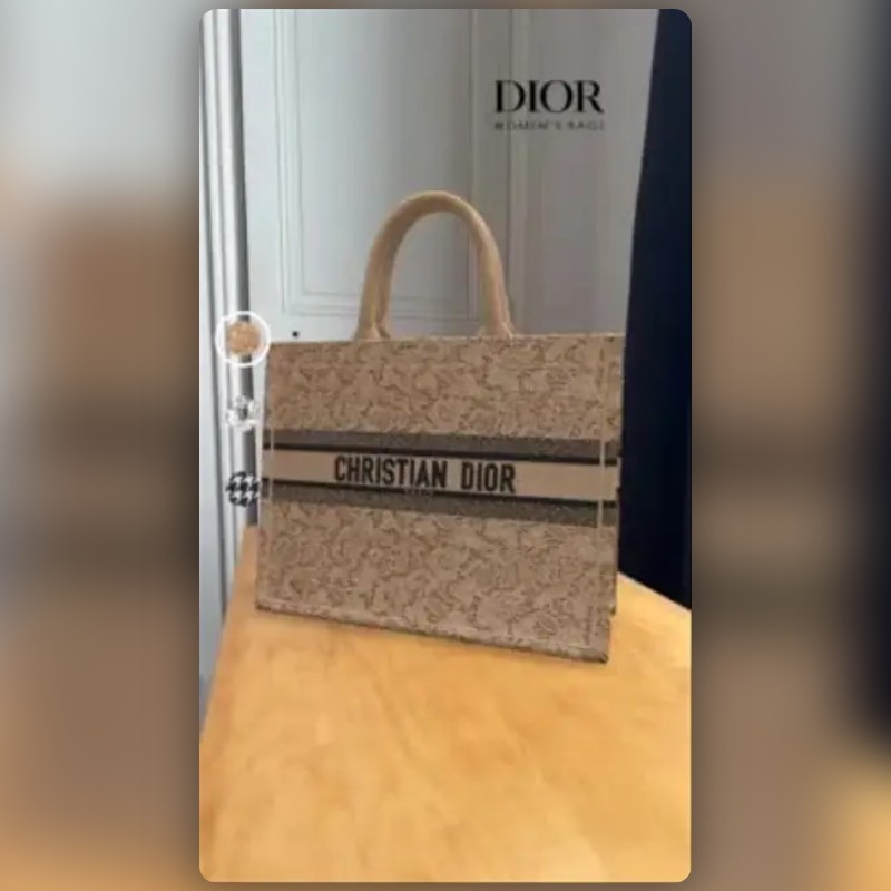 Dior Book Tote Filter by Dior | Snapchat Lenses
