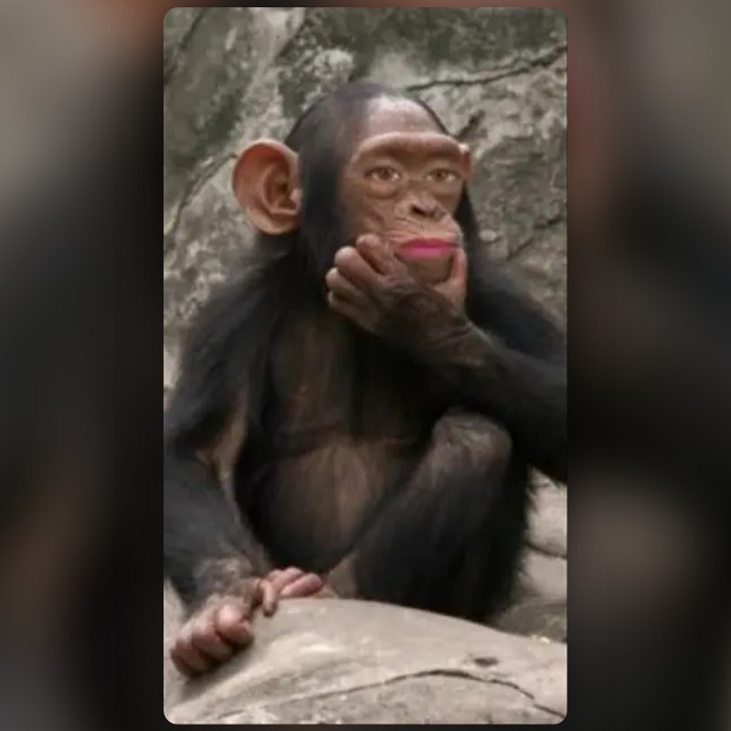 Monkey Thinks Lens by Lentera - Snapchat Lenses and Filters