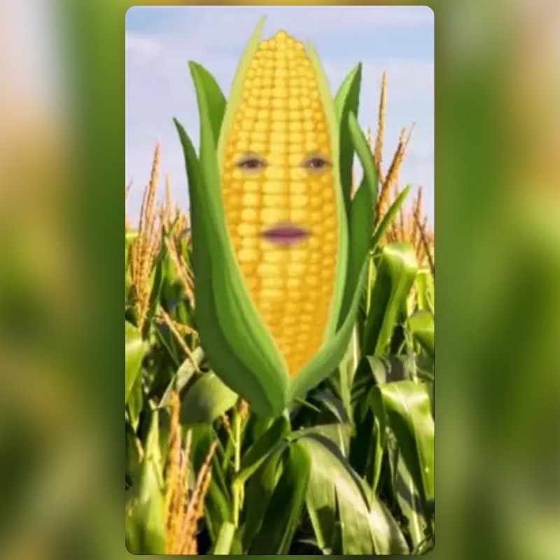 Corn field Filter by Mar | Snapchat Lenses