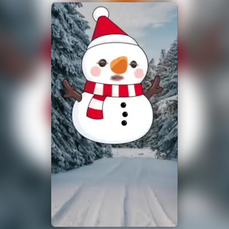 Snowman Filter by Pranjal Nahata | Snapchat Lenses