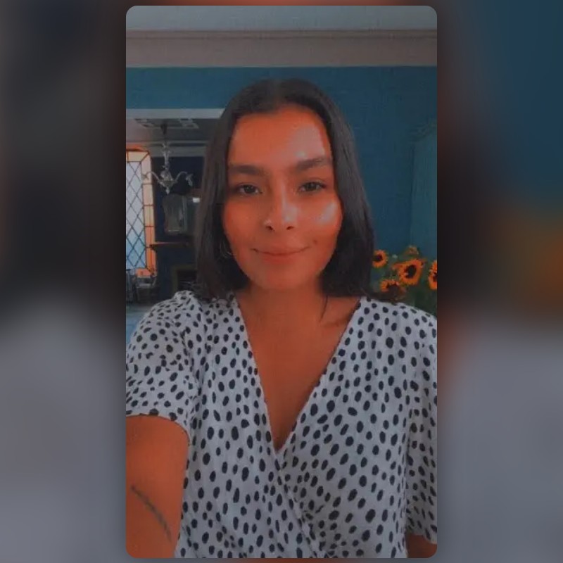 Sunset Vibe Lens by Snapchat - Snapchat Lenses and Filters