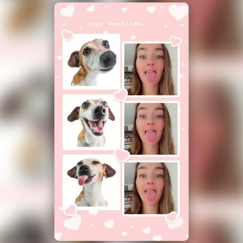 Dog Emotions Lens by Snapchat - Snapchat Lenses and Filters