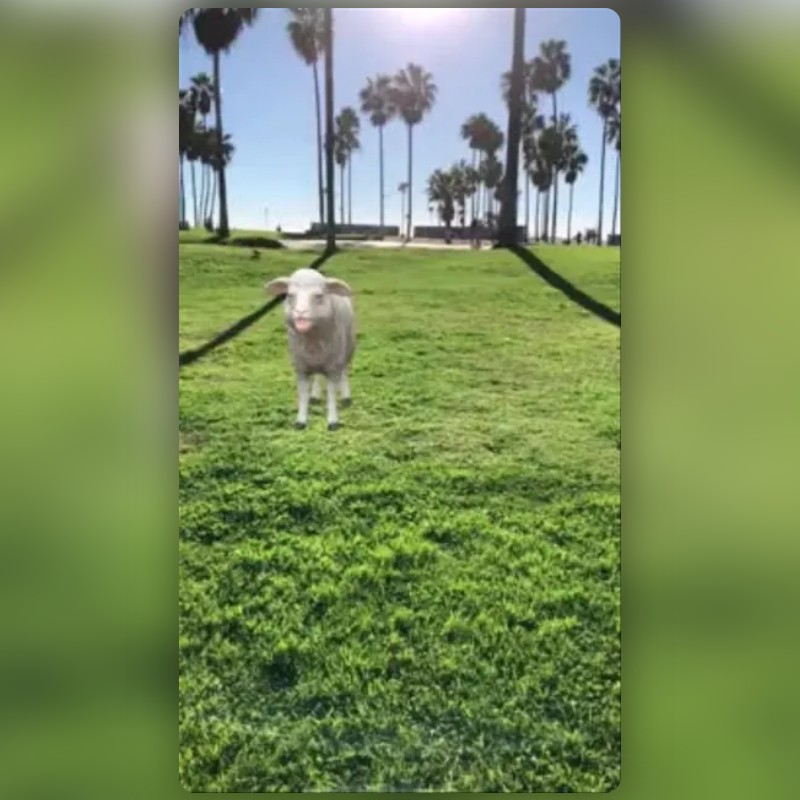 Sheep AR EiD ADHA Filter by البراء الضمدي| 📸♿️🎥 | ALBRA2201 | Snapchat ...
