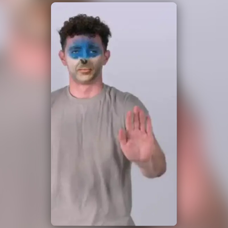 Nicolas Cage Sonic Filter by Snapchat | Snapchat Lenses