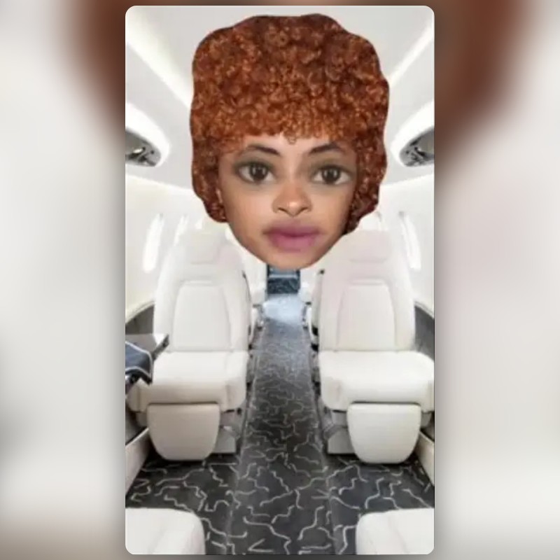 Ice Spice Head Filter by Bailey | Snapchat Lenses