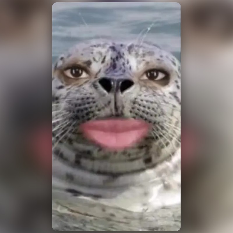 seal face Lens by Emma DeRuosi - Snapchat Lenses and Filters