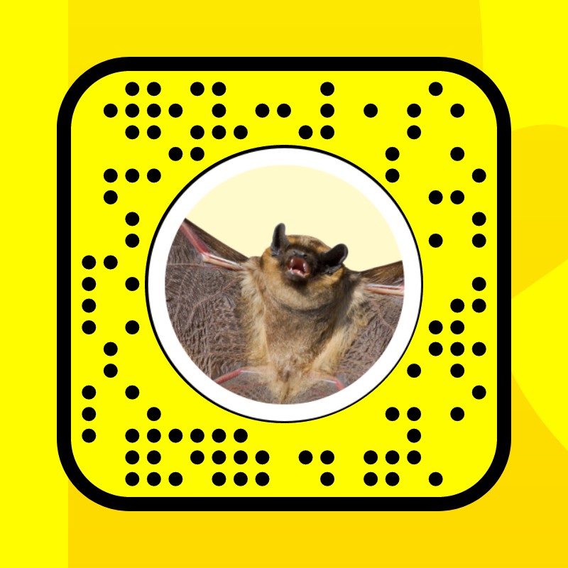 bat on head Filter by owen dadds | Snapchat Lenses