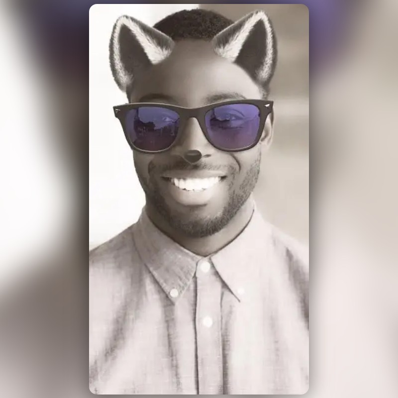 Wolf in Glasses Lens by Snapchat - Snapchat Lenses and Filters