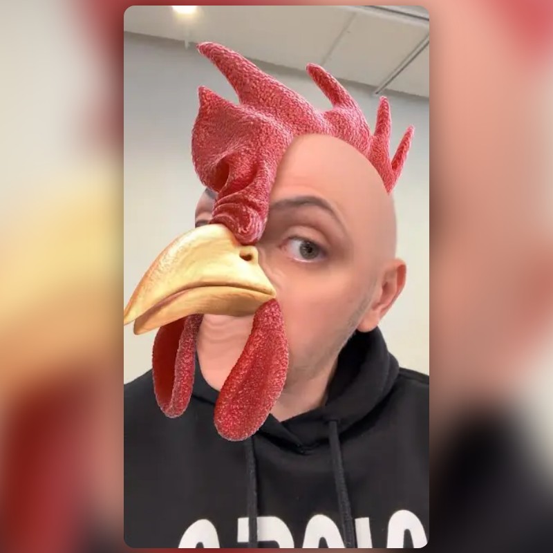 Chicken Head Filter by Snapchat | Snapchat Lenses