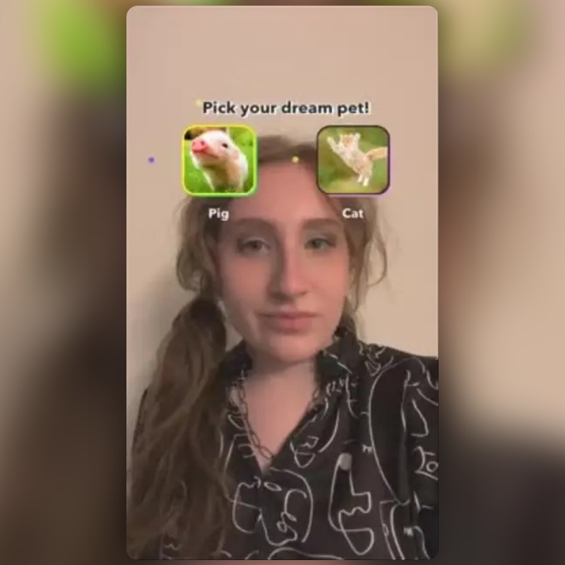 PETS THIS OR THAT Filter by Jonah Cohn | Snapchat Lenses