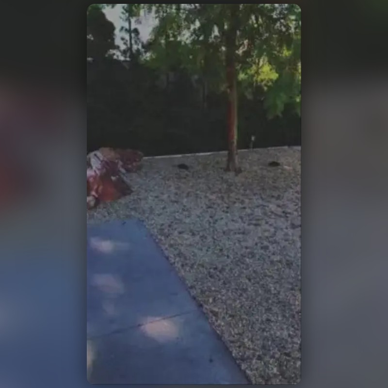 EWW2 Filter by 🕷 鯖しい | Snapchat Lenses