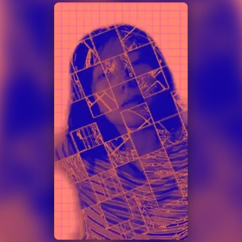 เลนส์ Too Much Grid สร้างโดย Nico S - เลนส์และฟิลเตอร์ Snapchat