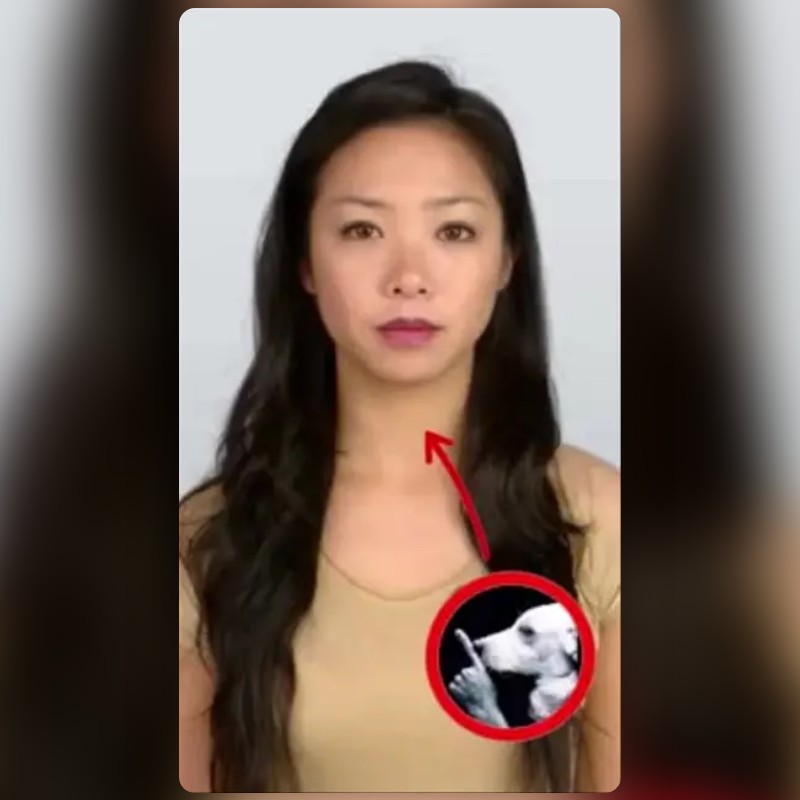 dog doing shh Filter by 8igguccis0sa | Snapchat Lenses