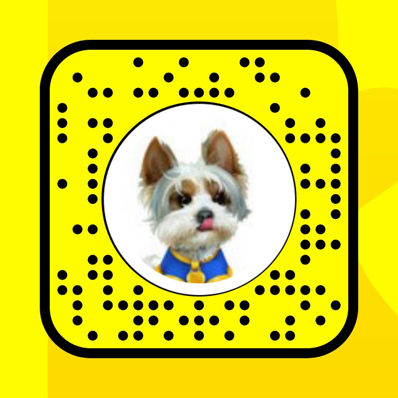 dog Chine NY Lens by Алексей Кузнецов - Snapchat Lenses and Filters