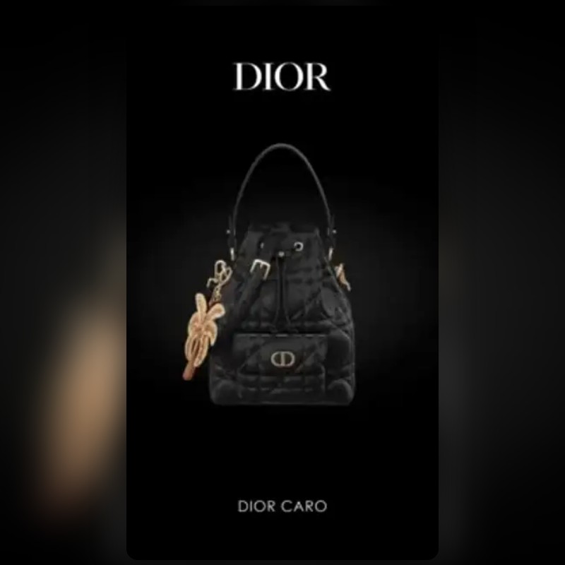 Dior Caro Filter by Dior | Snapchat Lenses