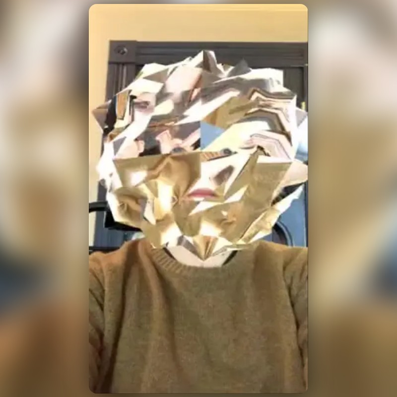 Mesh Face Filter by Noland Chaliha | Snapchat Lenses
