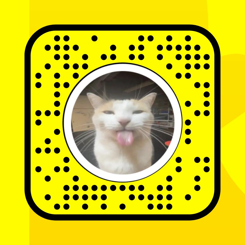 What cat Are You? Lens by Leo Morales - Snapchat Lenses and Filters