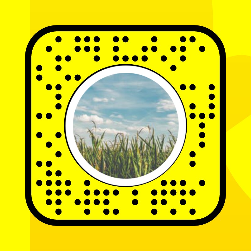 Vox Filter by ਗਿੱਲ | Snapchat Lenses